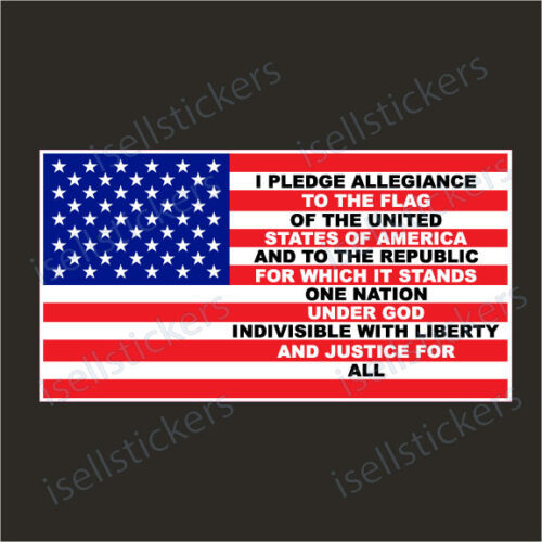 Pledge of Allegiance to the Flag American Freedom Patriotic Vinyl ...